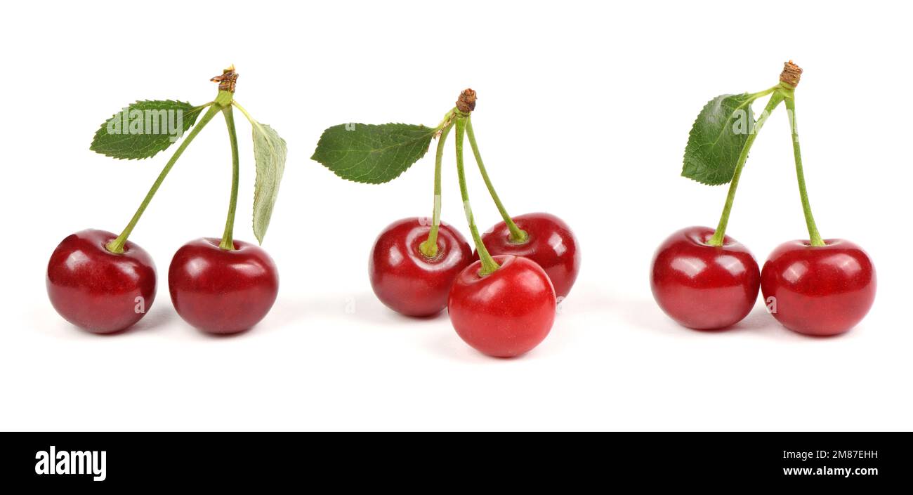 Collection of cherries with green leaf isolated on white background ...