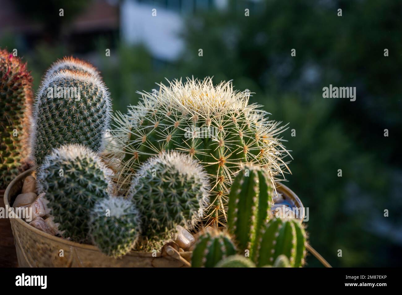 Different types of chair design hi-res stock photography and images - Alamy