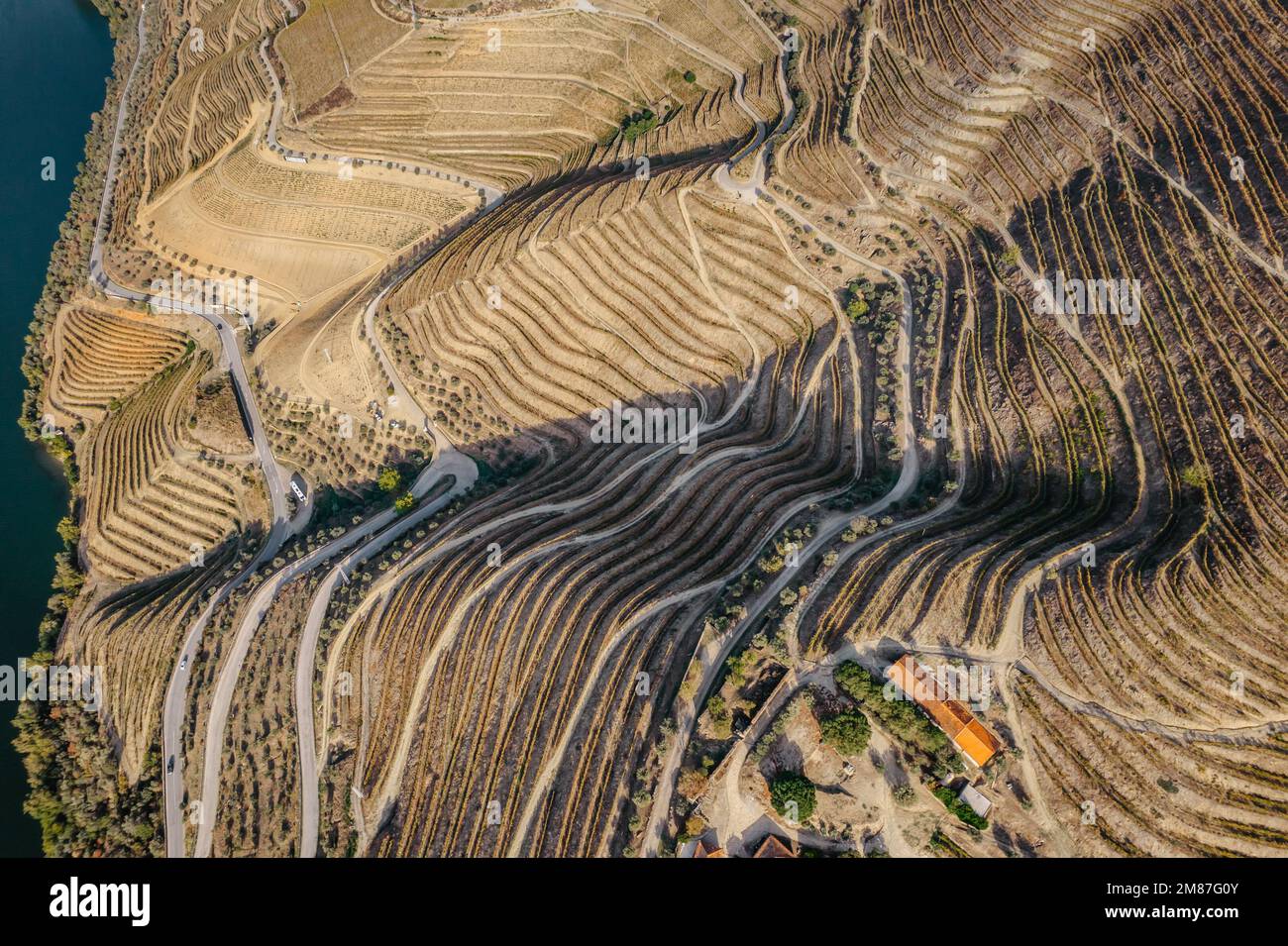 Aerial view of Douro Valley.Terraced vineyards and landscape near ...