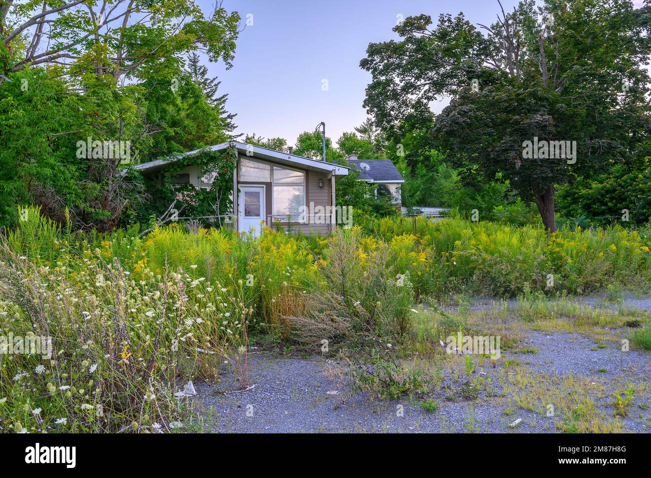 Older style home by roadside is overgrown by weeds and trees Stock ...