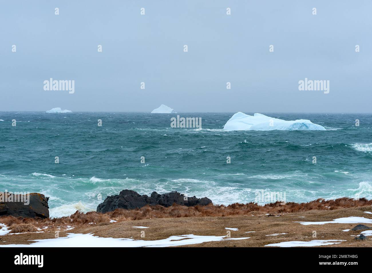 Ice bergs float past the coast of Newfoundland Stock Photo - Alamy