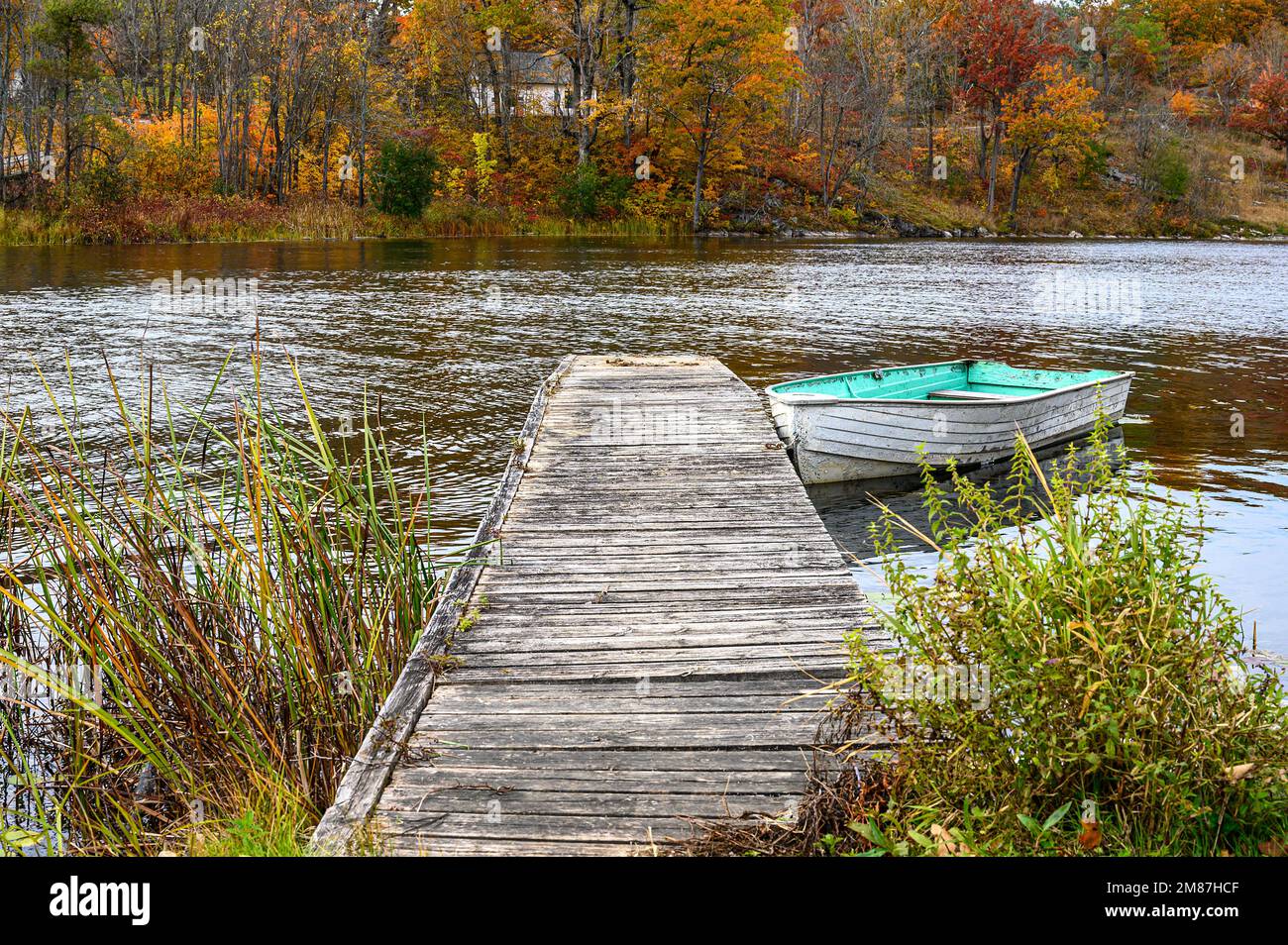 A wooden dock with a single small boat points to a maple forest with ...