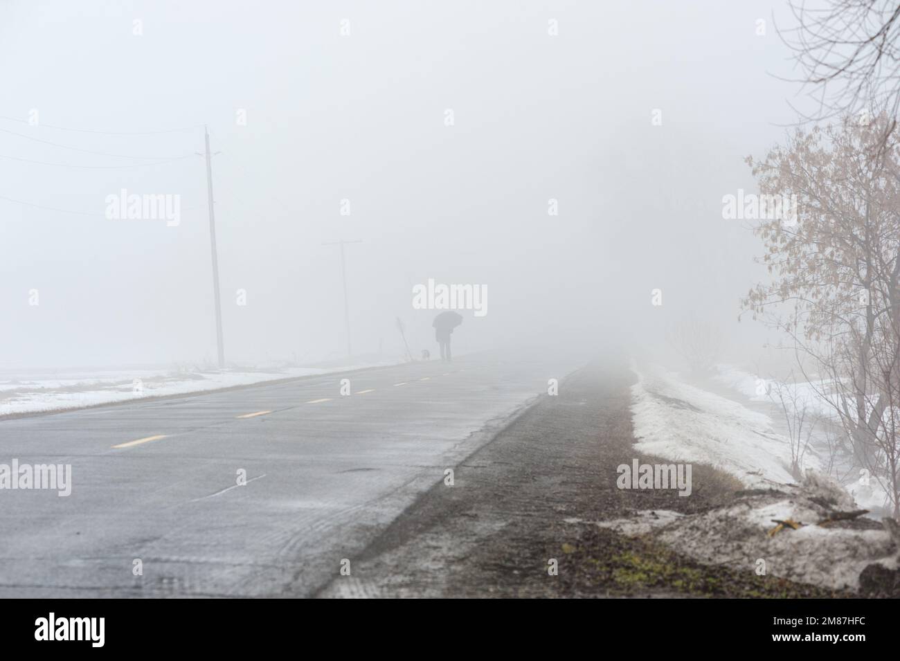 Man walking his dog disappears into thick fog Stock Photo - Alamy