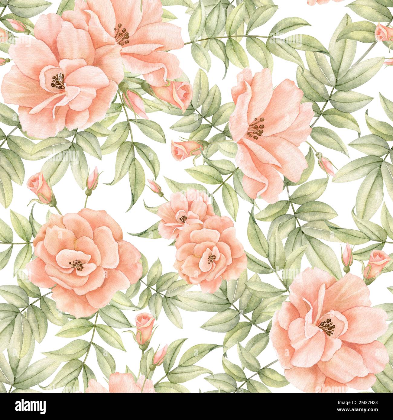 Seamless Pattern with Rose Flowers and leaves. Hand drawn floral ...