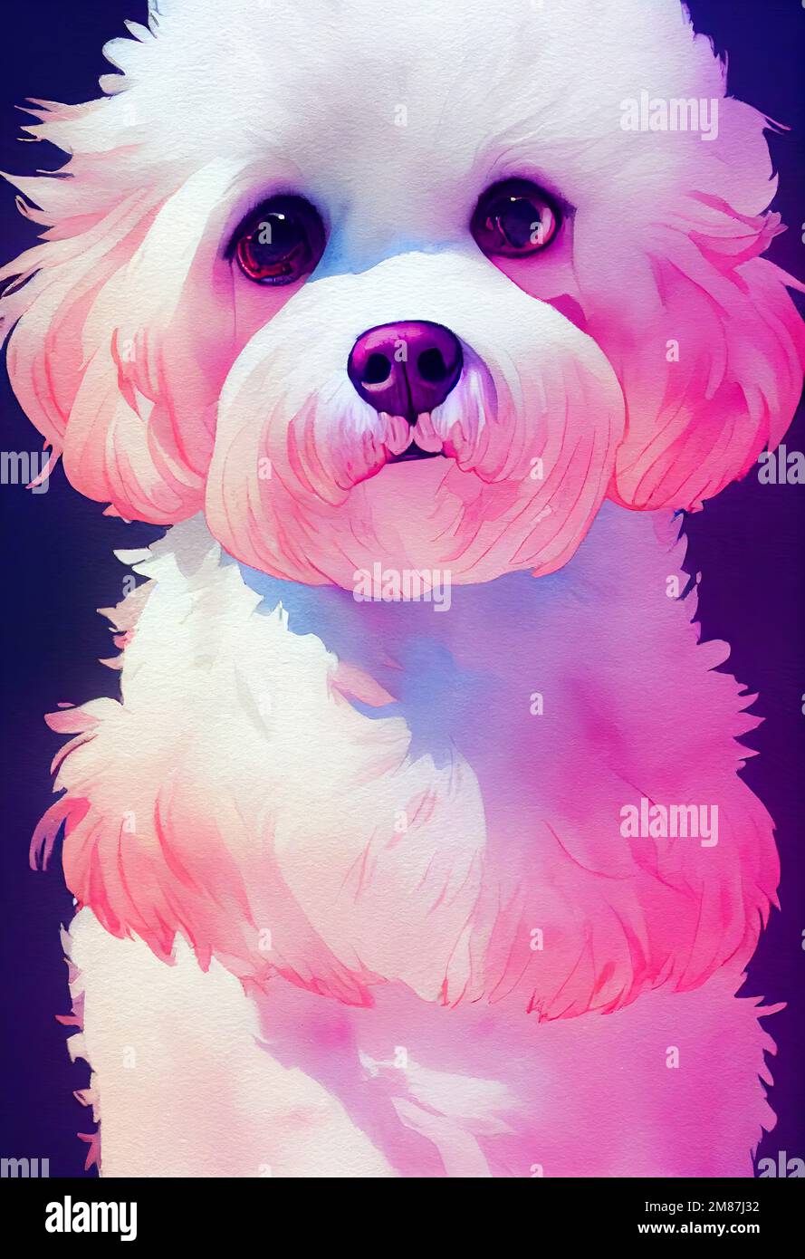 Funny adorable portrait headshot of cute doggy. Bichons Frises dog ...