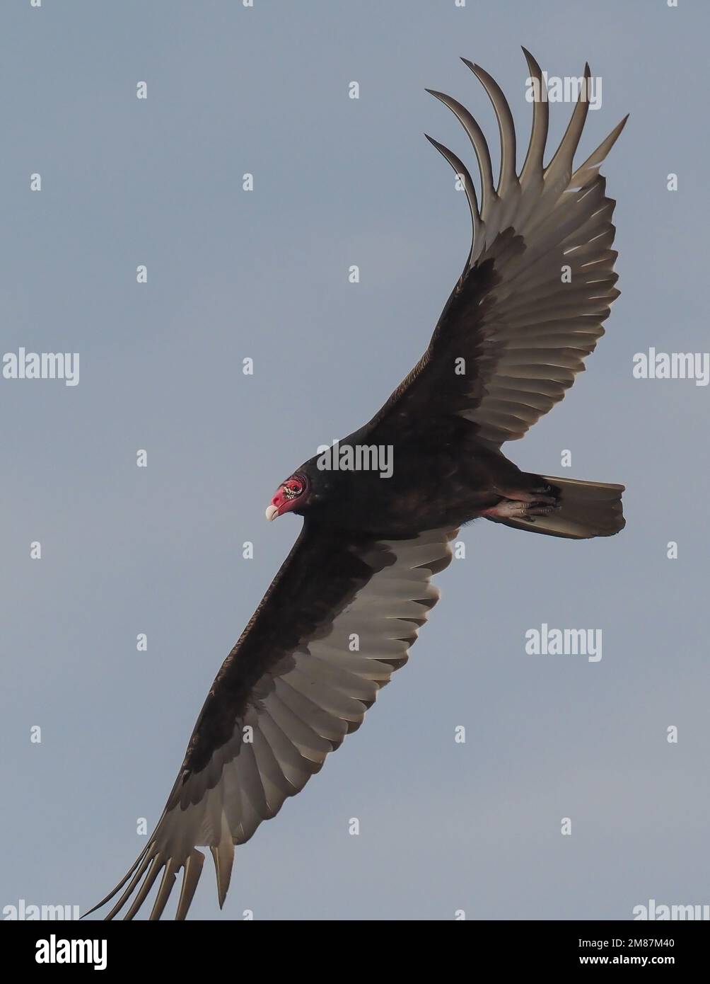 Slightly overhead hi-res stock photography and images - Alamy