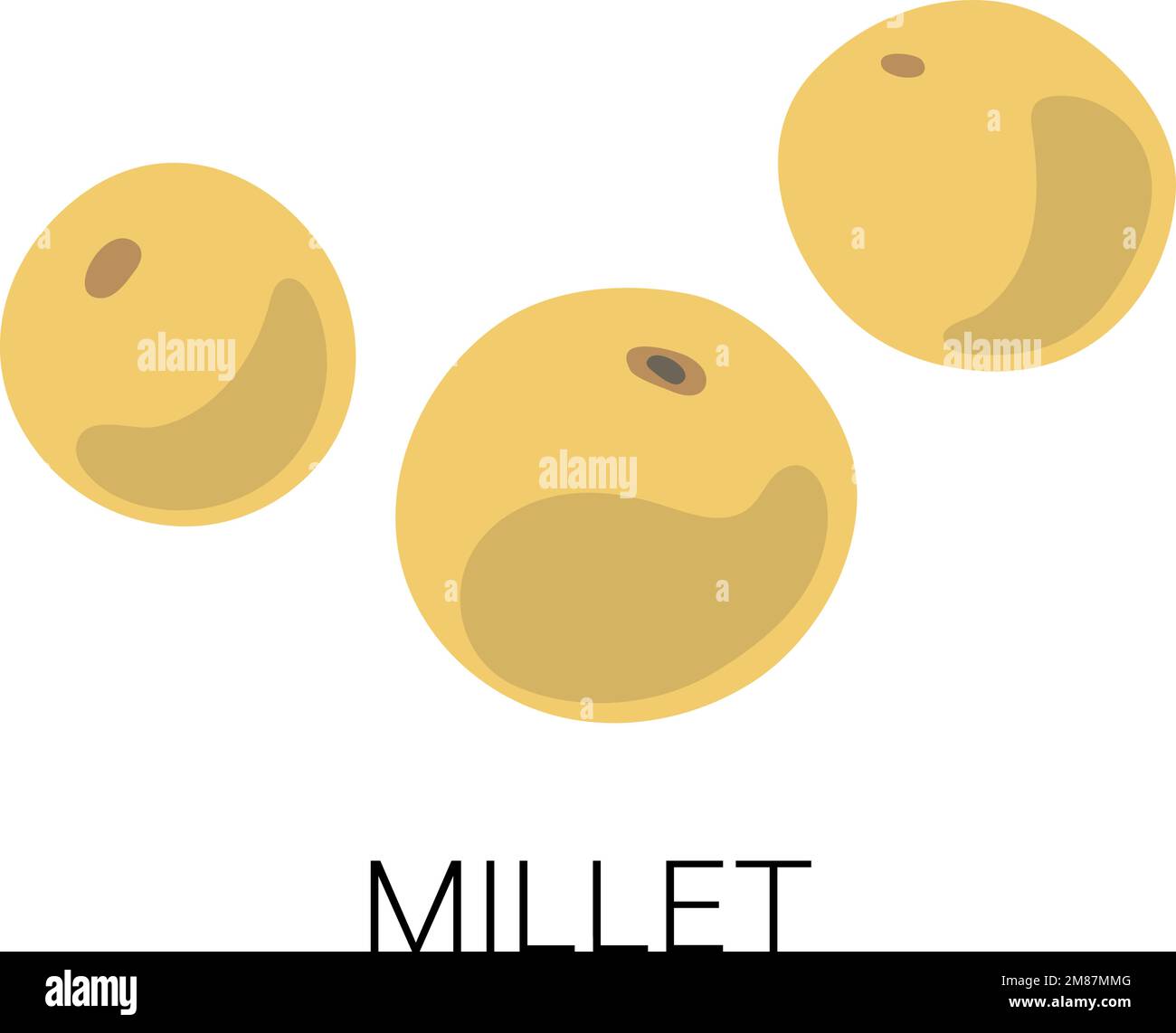 Millet seeds icon. Raw cereal grain symbol Stock Vector Image & Art - Alamy