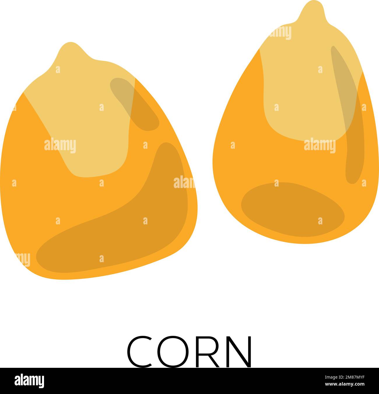 Corn Seed Icon Raw Maize Harvest Symbol Stock Vector Image And Art Alamy