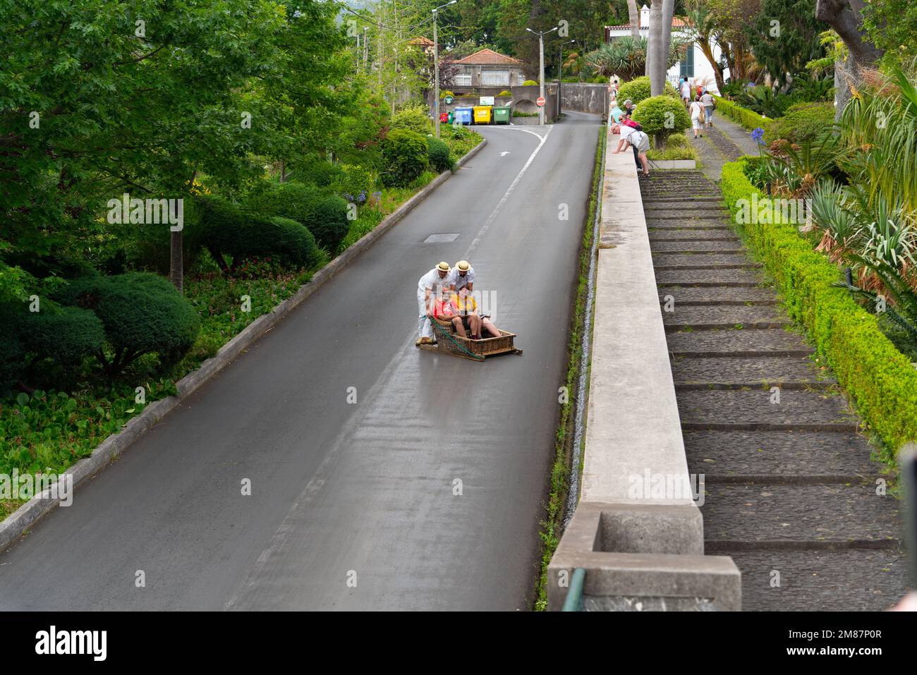 Two females getting a ride on a toboggan down the hill in Madeira ...