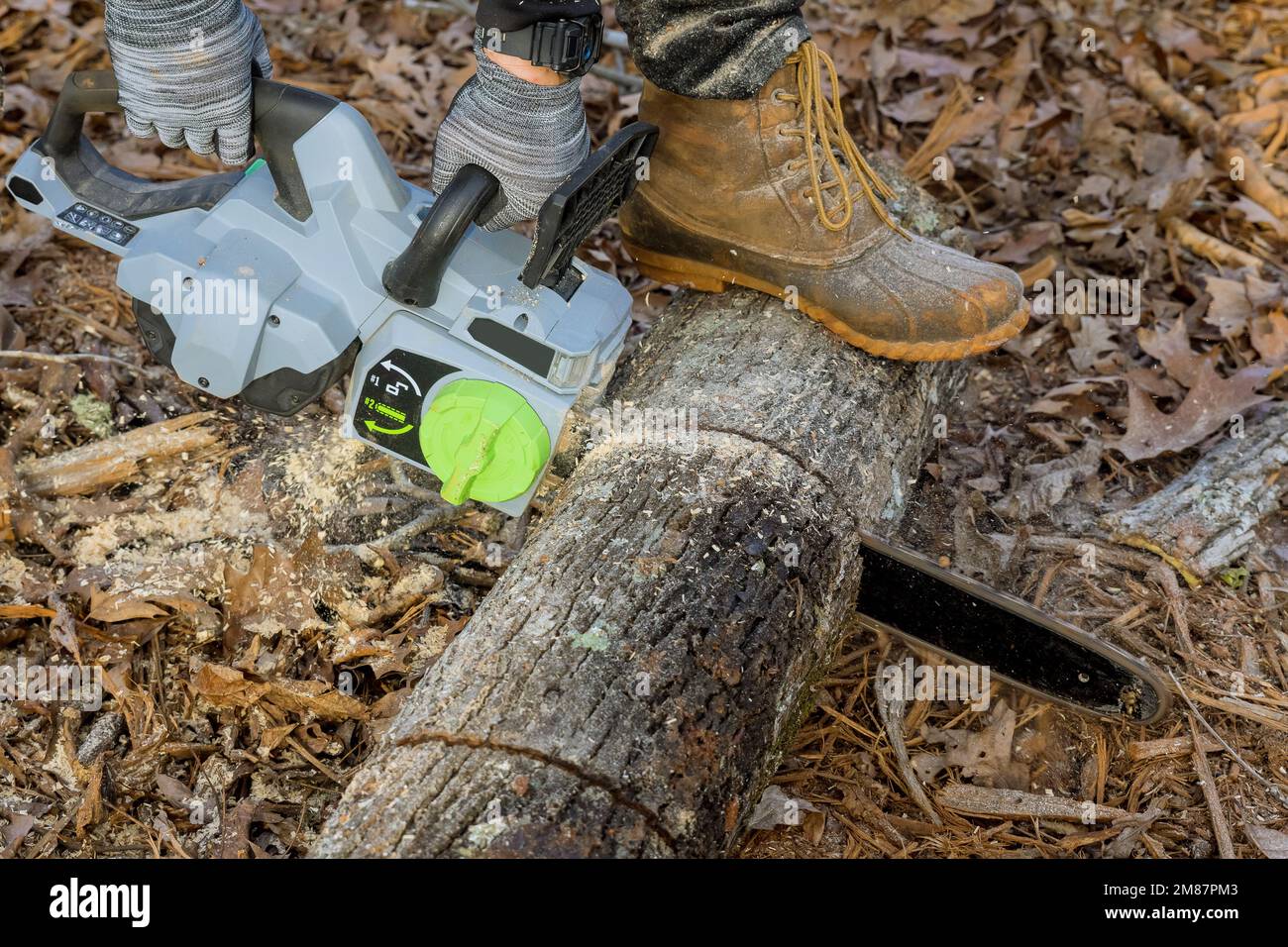 Worker sawing trees after hurricane tree fell down during thunderstorm ...