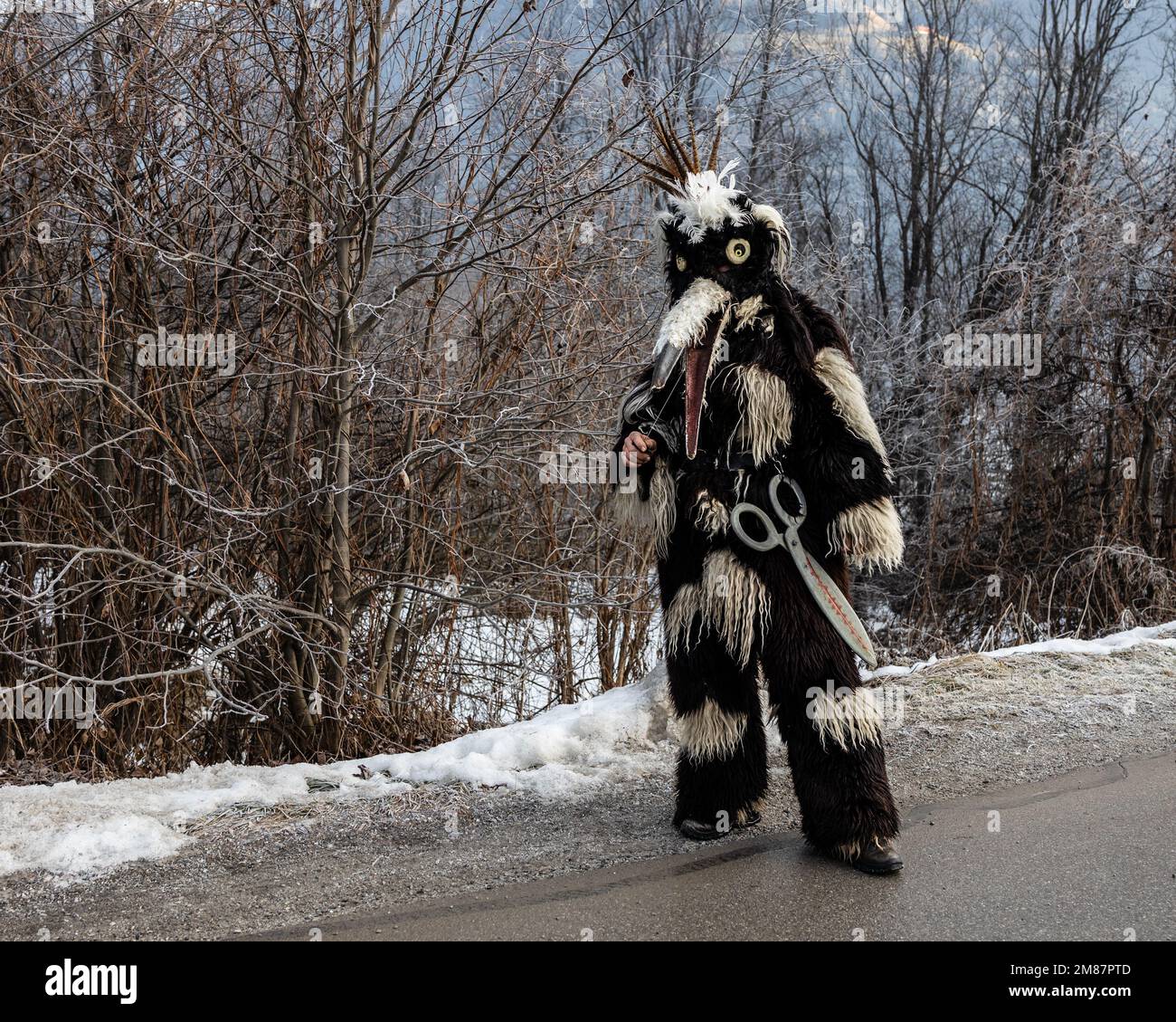 AUSTRIA, GASTEIN - January 1, 2023: bird with scissors in the ...