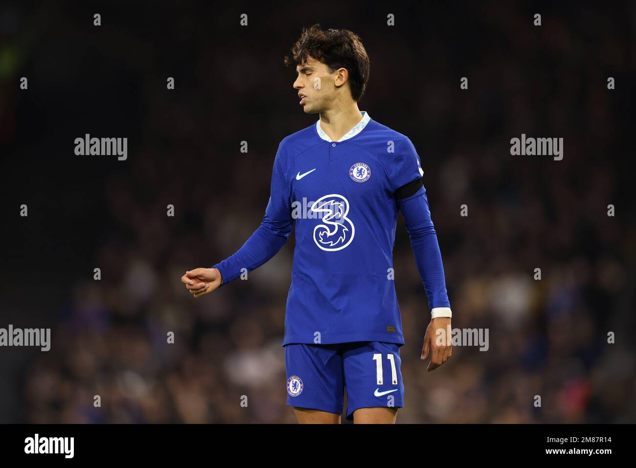 Craven Cottage, Fulham, London, UK. 12th Jan, 2023. Premier League ...