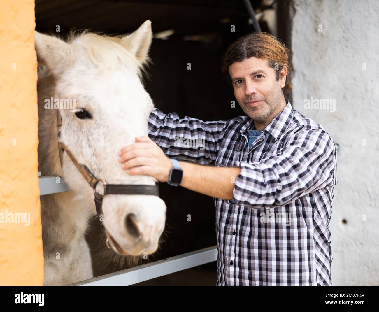 Portrait of an owner of livestock farm next to horse in a stall in the ...