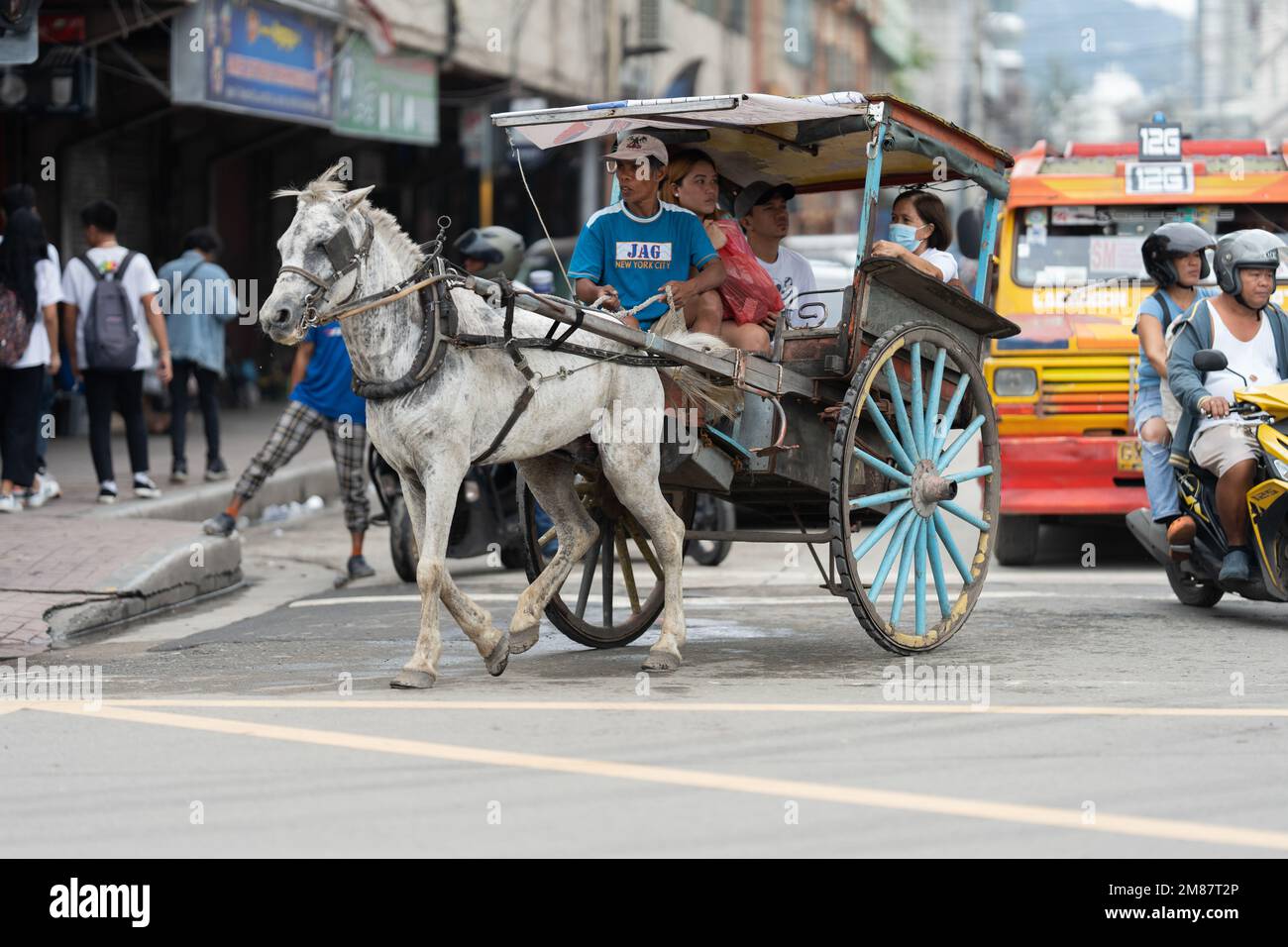 A horse drawn carriage known as a Kalesa being driven in downtown Cebu ...