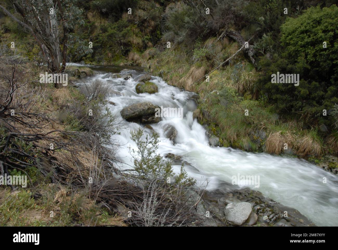 A cascading mountain stream in the Victorian High Country Australia ...