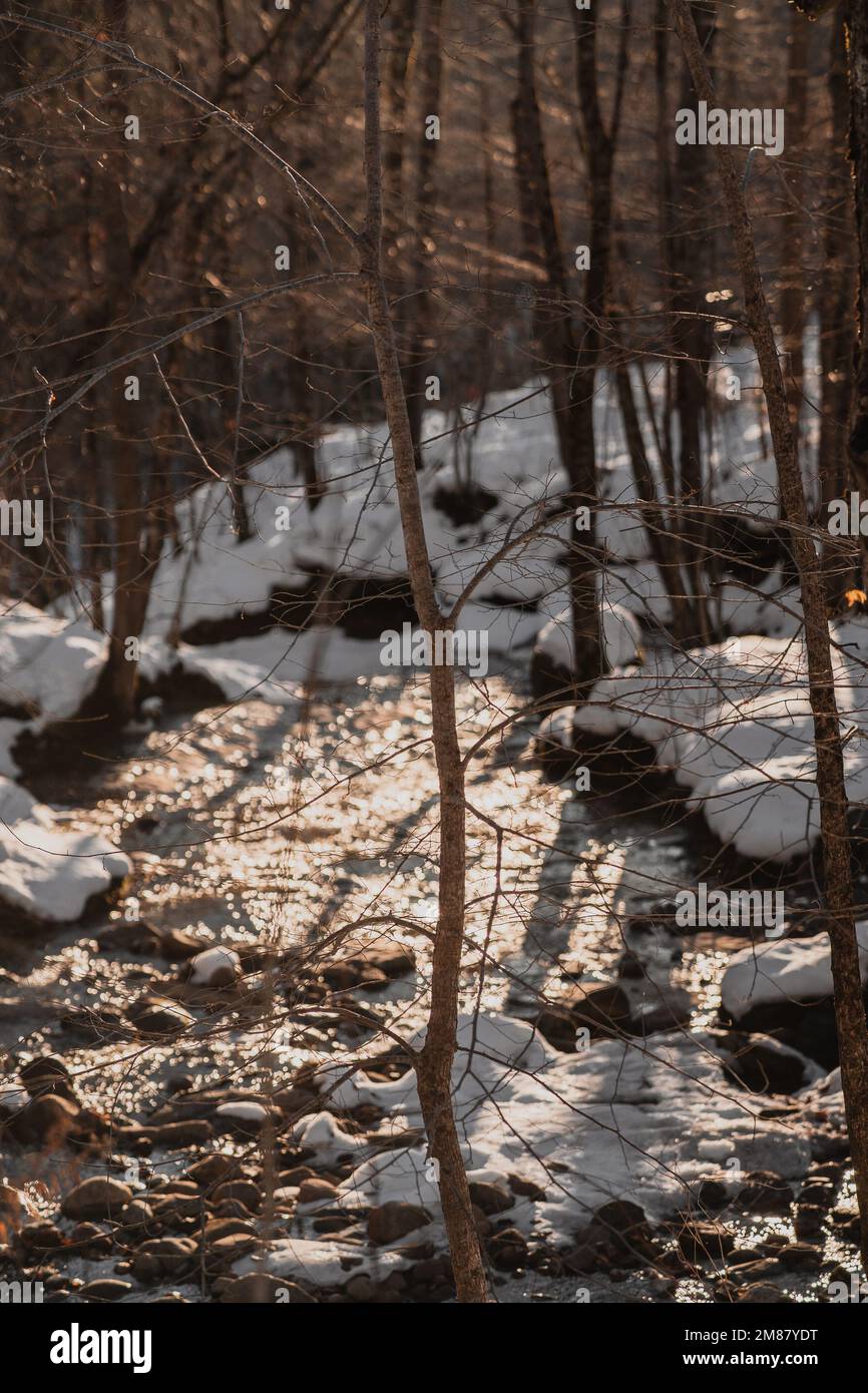 A beautiful view of a stream surrounded by snowy rocks and young trees ...