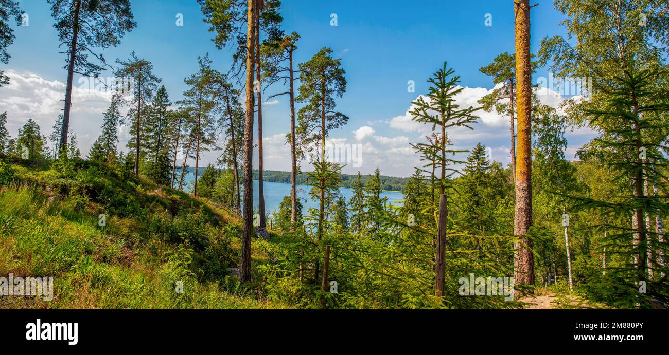 Nature is Mother-Finland: pine trees and lake and hills - typical and ...