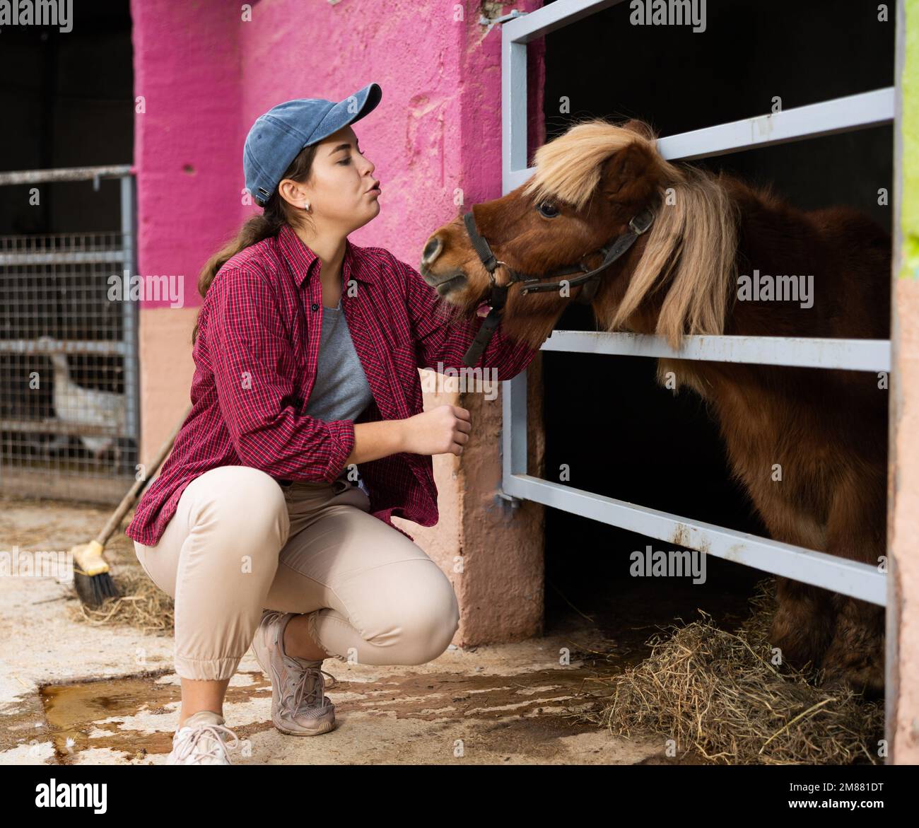 Concrete livestock fence hi-res stock photography and images - Alamy