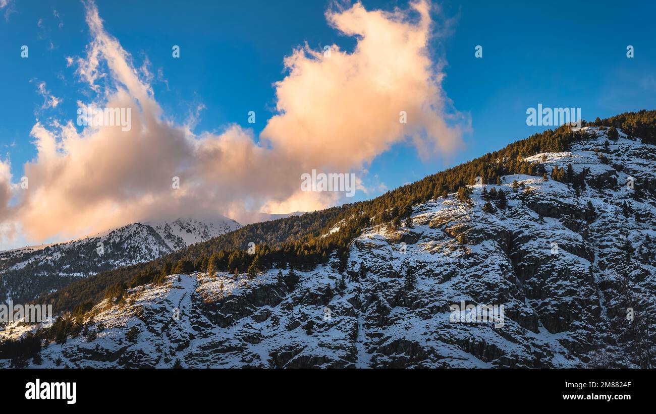 Pine forest on the tope of mountain range and clouds touching mountain peaks, illuminated in ...