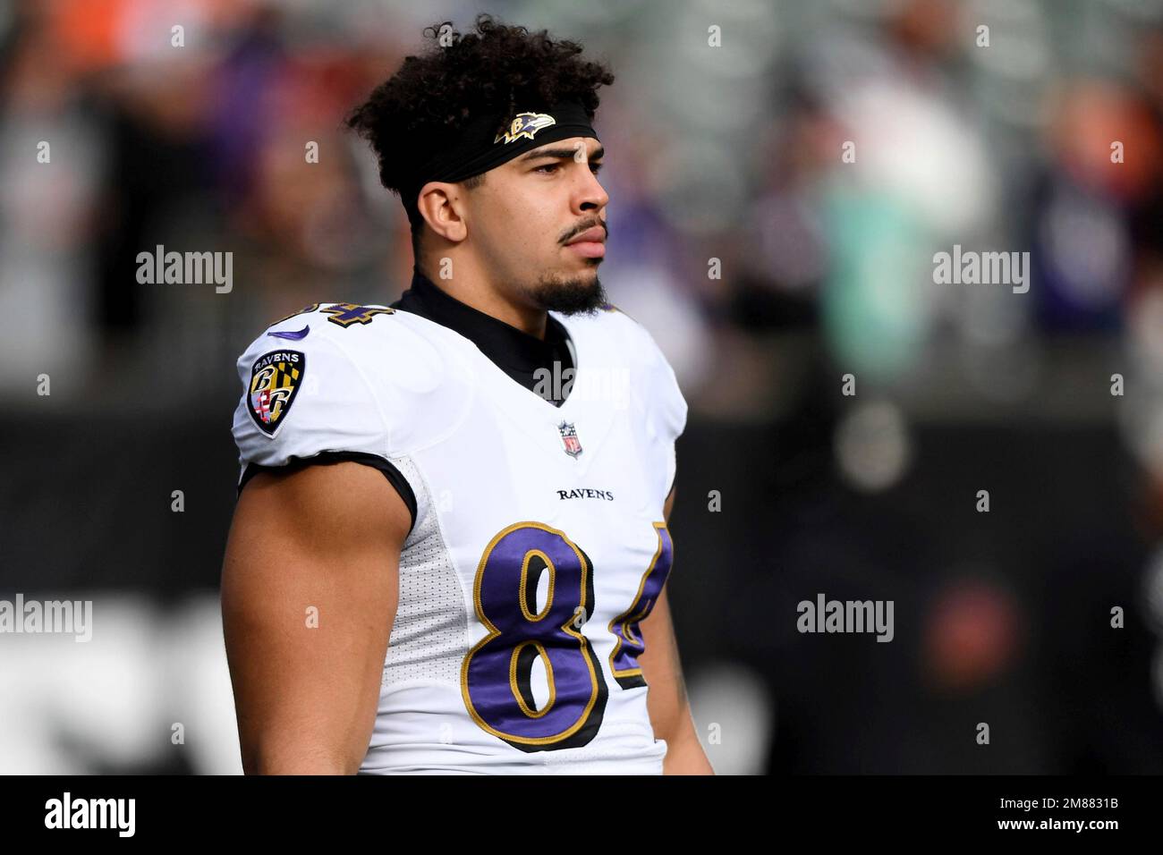 Baltimore Ravens tight end Josh Oliver (84) looks on before an NFL ...