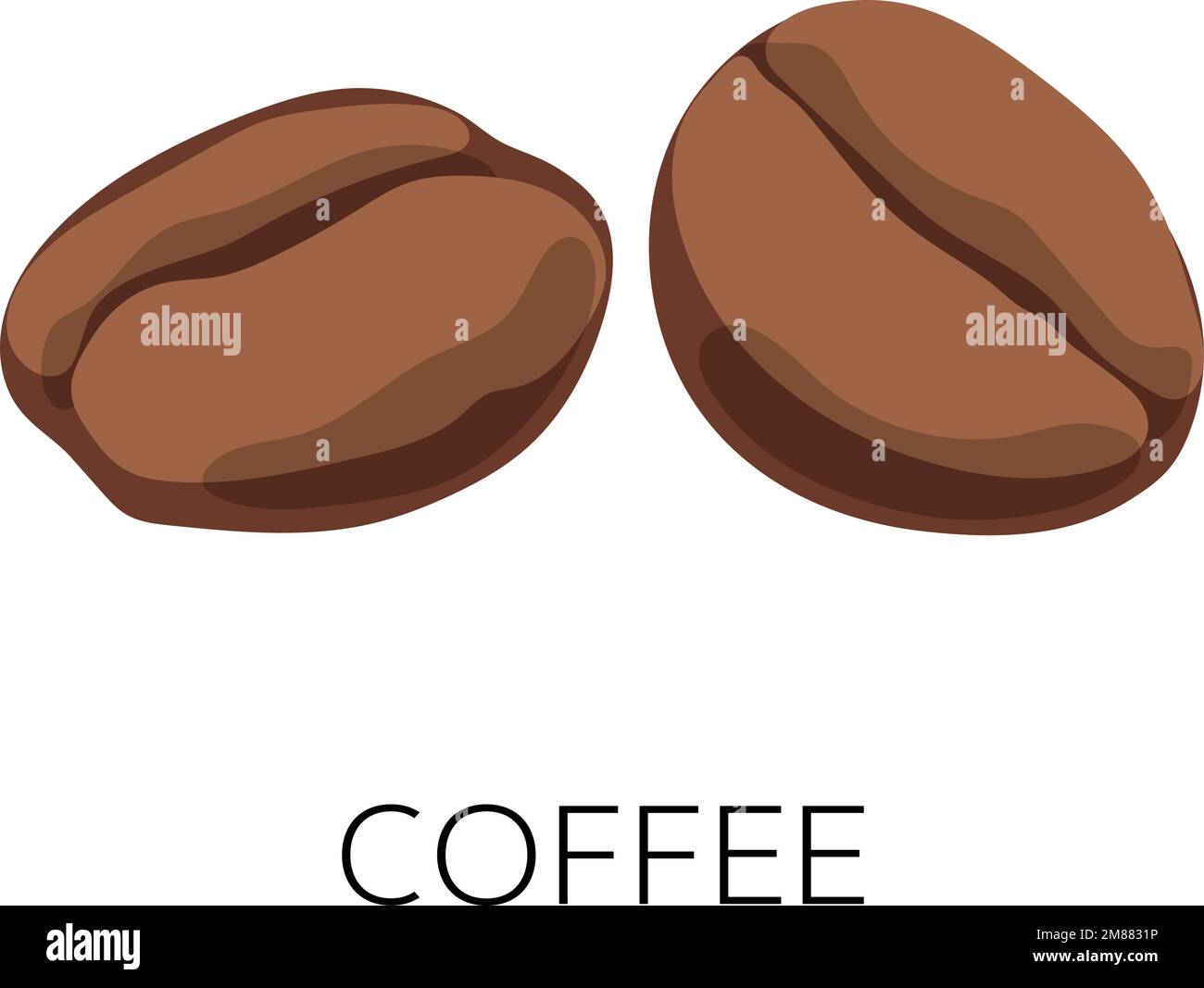 Coffee beans icon. Fresh roasted drink symbol isolated on white ...