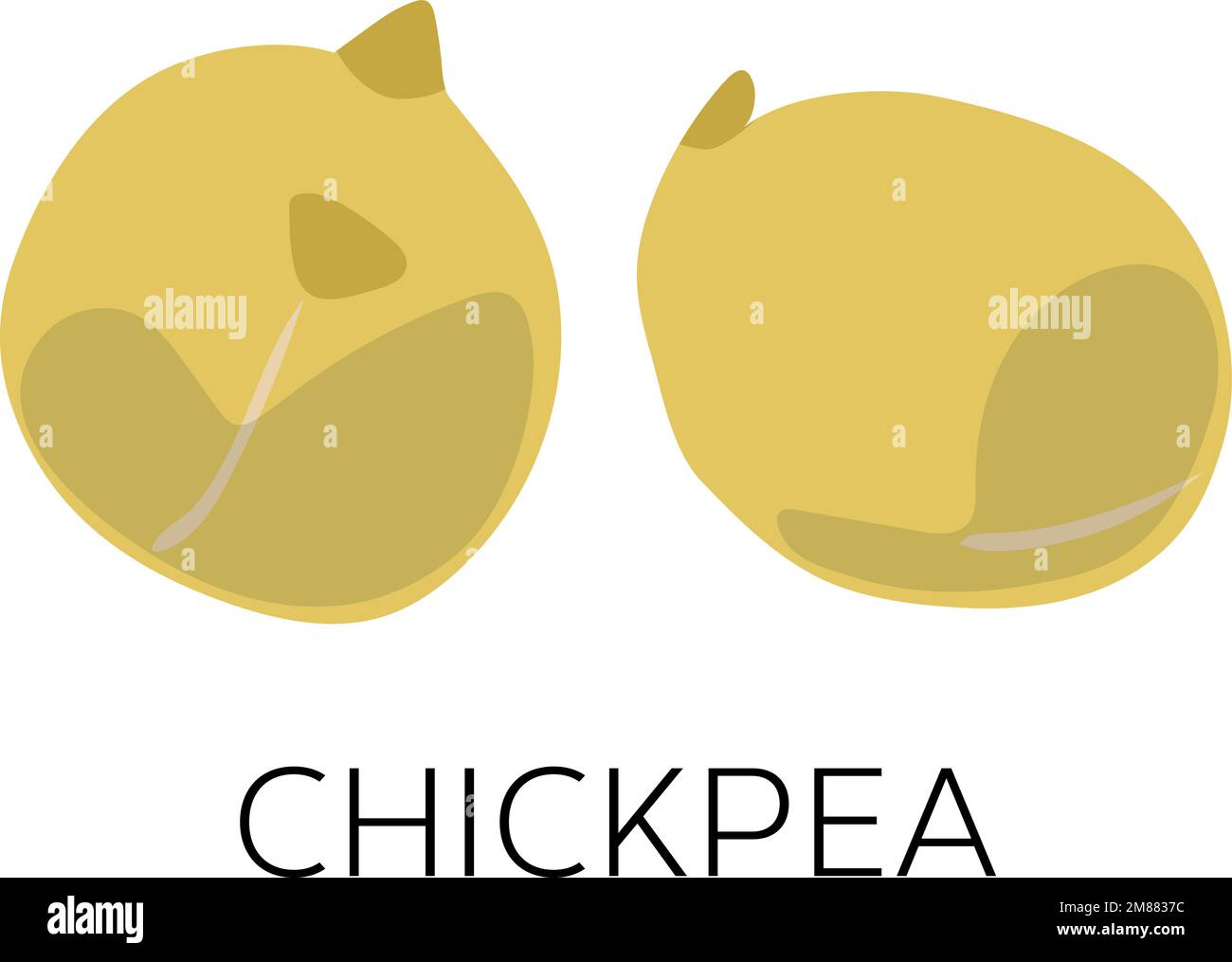 Chickpea icon. Green beans. Cooking food ingredient isolated on white ...