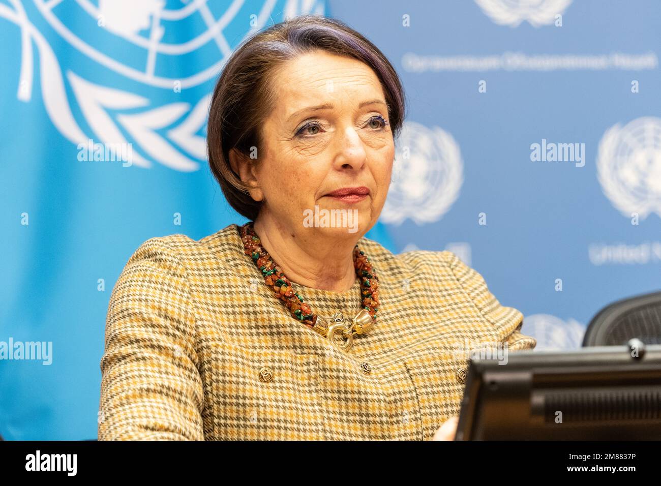 Daniela Bas, Director of Division for Inclusive Social Development ...