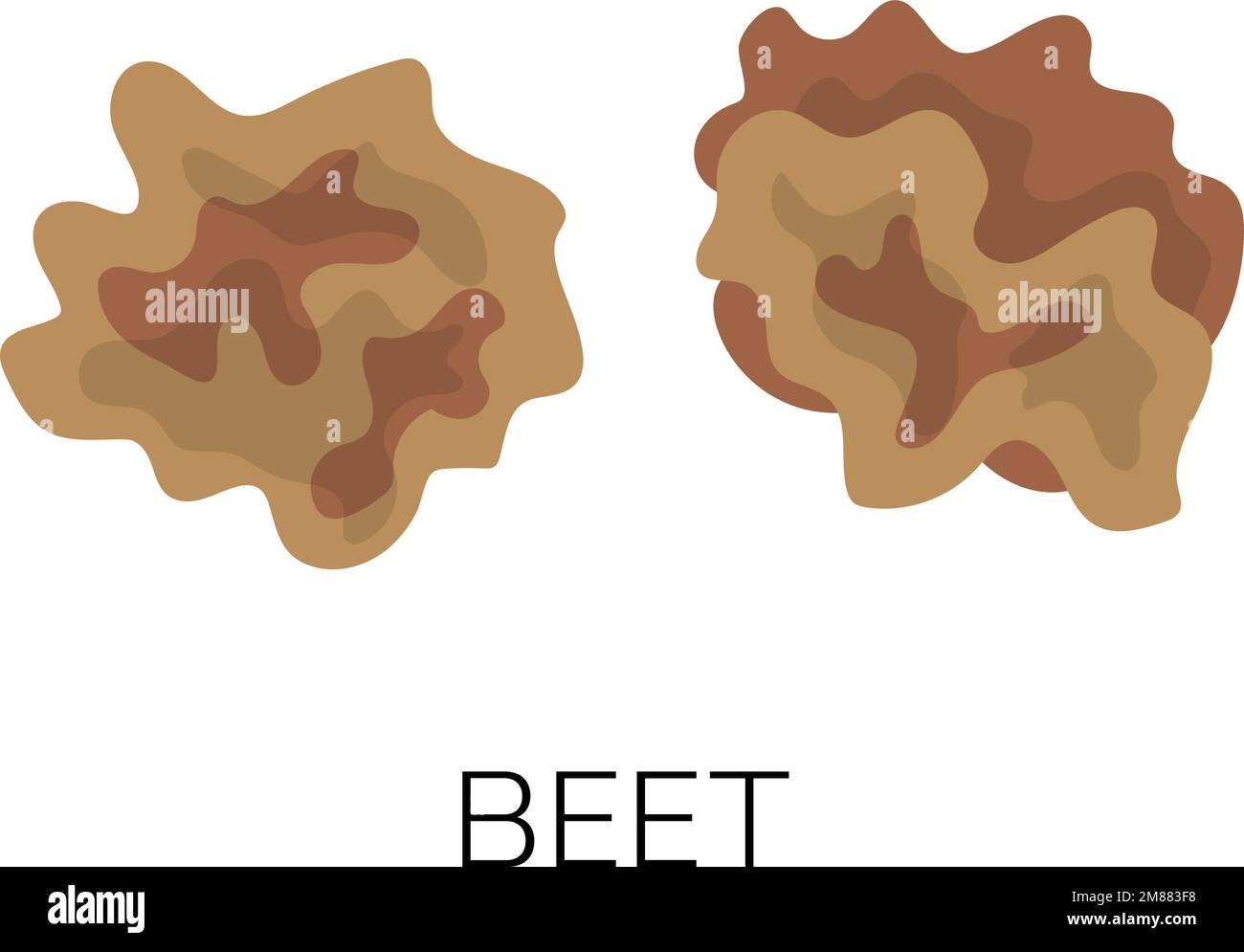 Beet seed icon. Farm vegetable cartoon symbol isolated on white ...