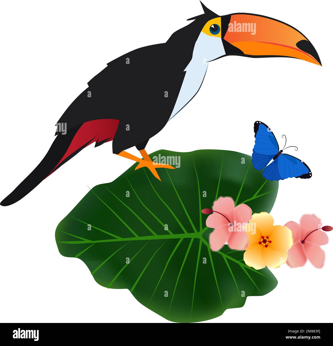 Tropic bird in forest Cut Out Stock Images & Pictures - Alamy