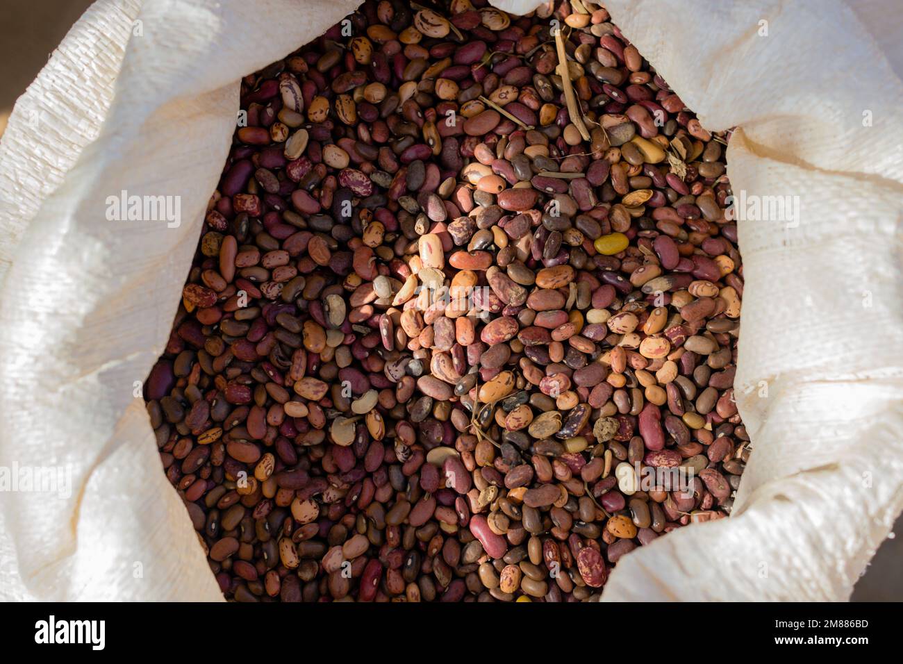 White plastic hessian sack of a range of dried beans from above in ...