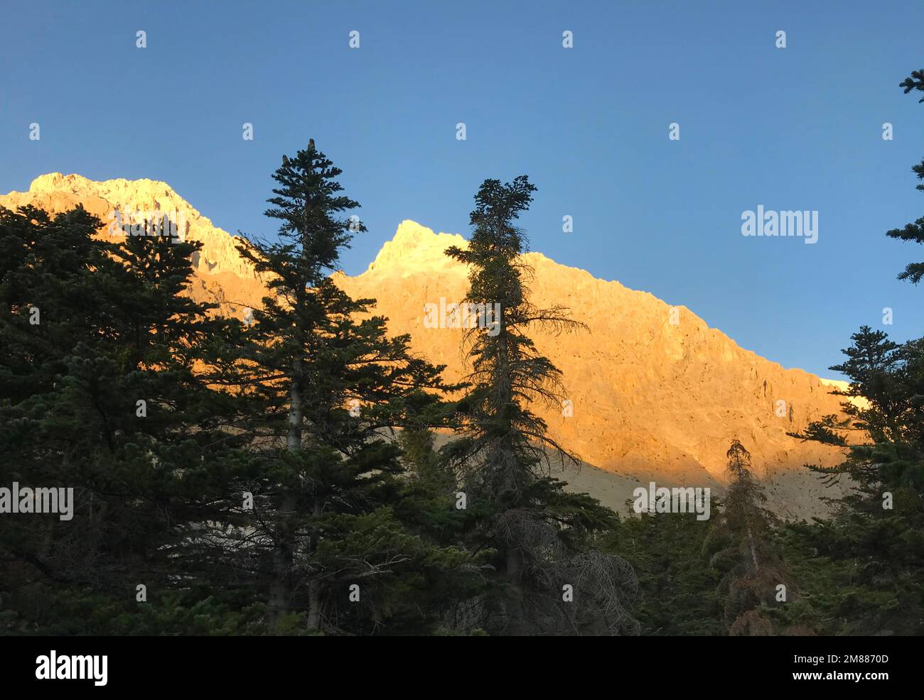 Sunset at Emli Valley and Emli Forest on Aladaglar National Park in ...