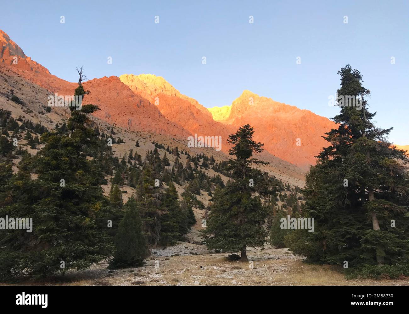 Sunset at Emli Valley and Emli Forest on Aladaglar National Park in ...