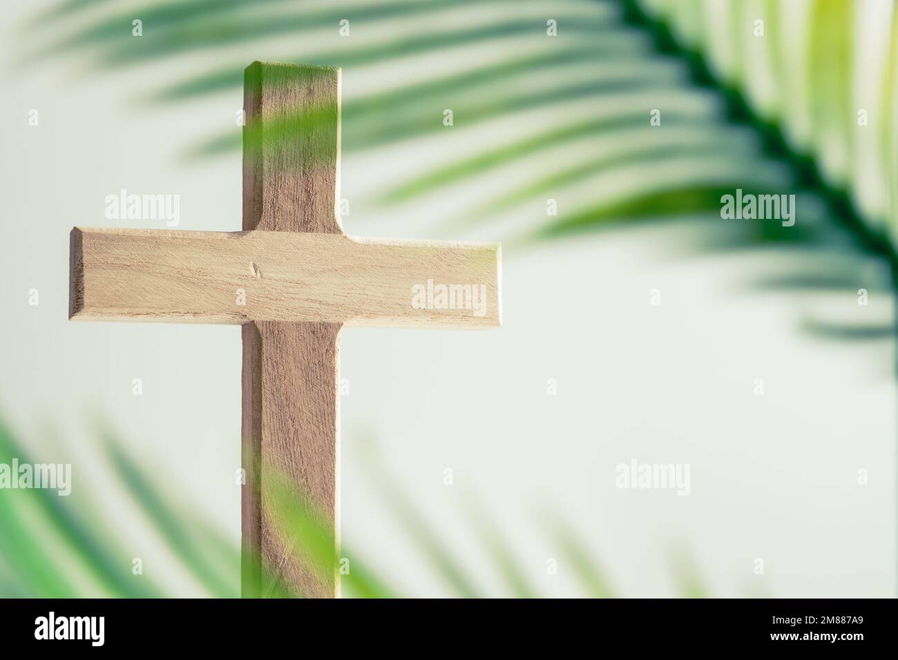 Simple wood Christian cross with palm frond leaves on a white ...