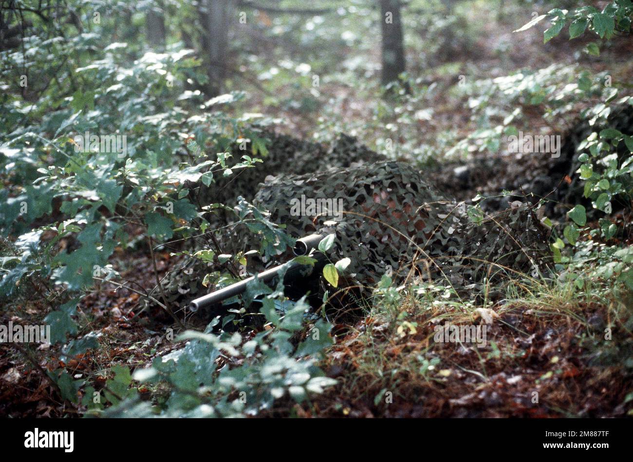 Marine corps scout sniper school hi-res stock photography and images ...
