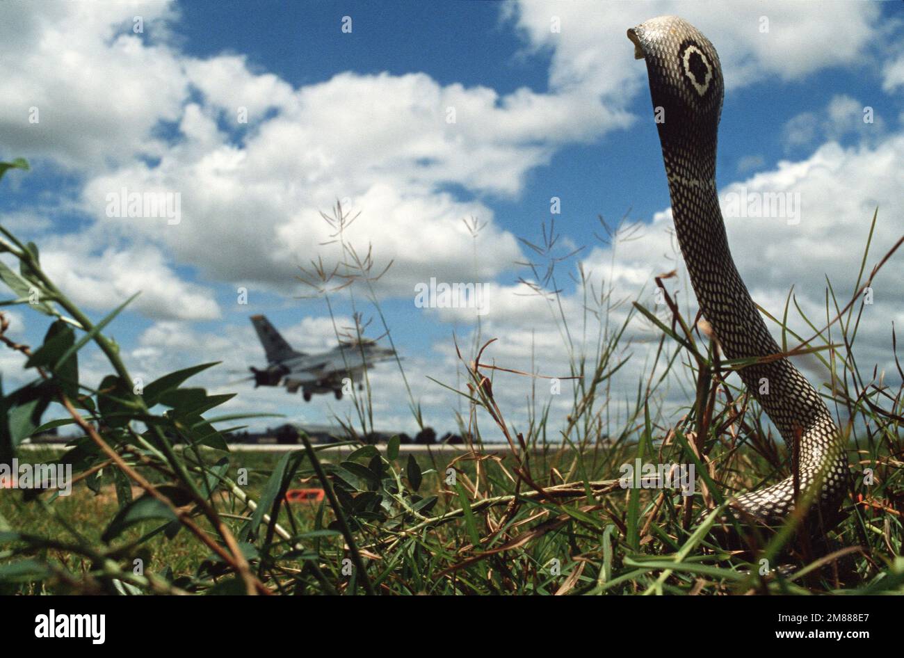 DF-ST-88-05402. Subject Operation/Series: COBRA GOLD Base: Korat Royal ...
