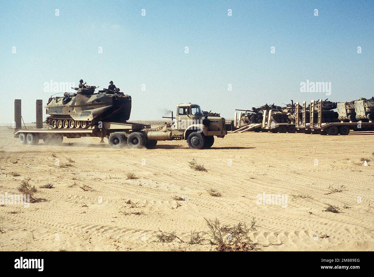 An Egyptian military tractor-trailer transports an AAVP-7A1 tracked ...