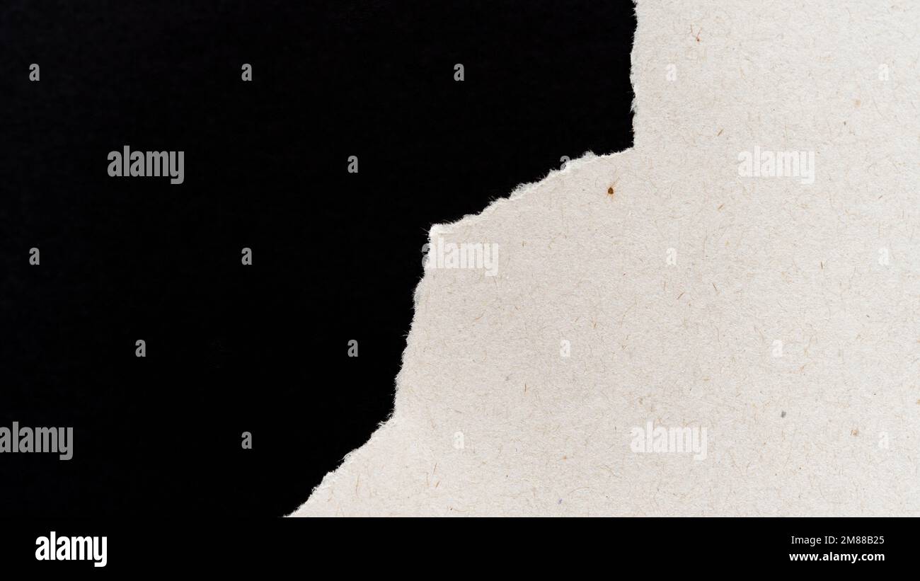 Ripped Paper Texture Tumblr