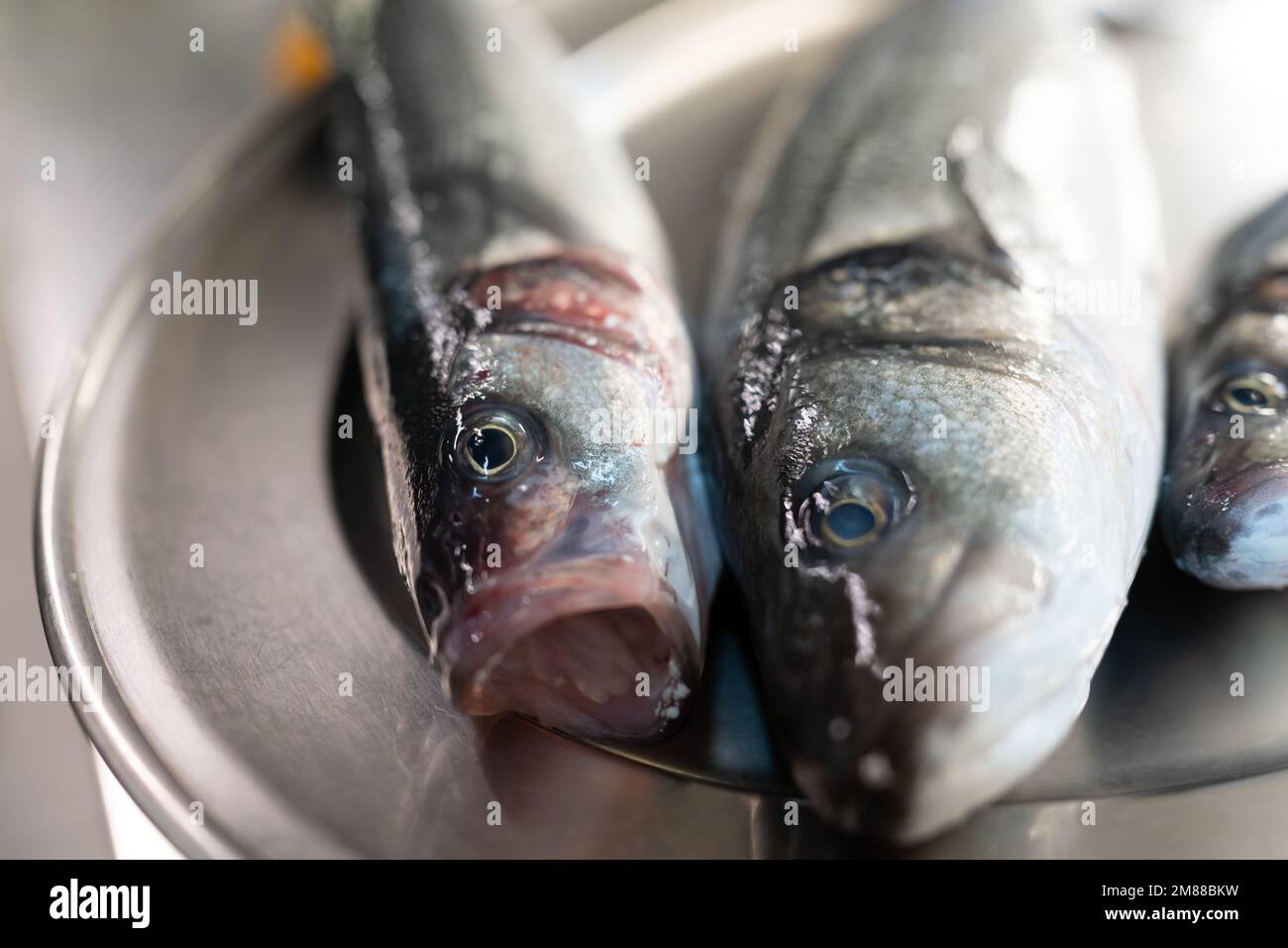 fresh fish seafood Stock Photo - Alamy