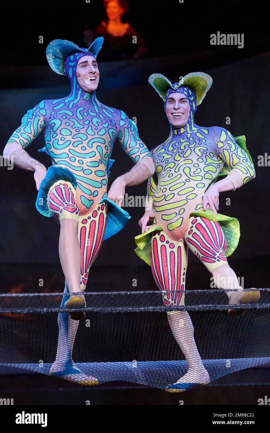 Cirque Du Soleil Costumes For Men