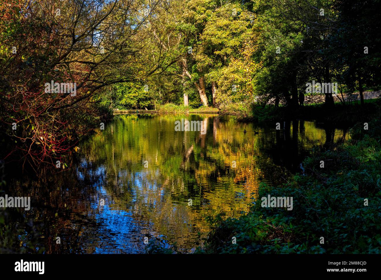 Autumn Colours and a lake in the Loose valley in Maidstone, Kent Stock ...