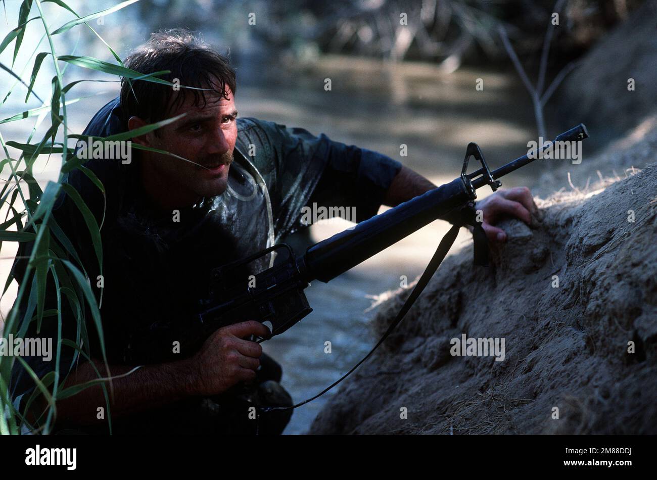 A U.S. Navy Sea-Air-Land (SEAL) Team Three member armed with an M16A1 ...