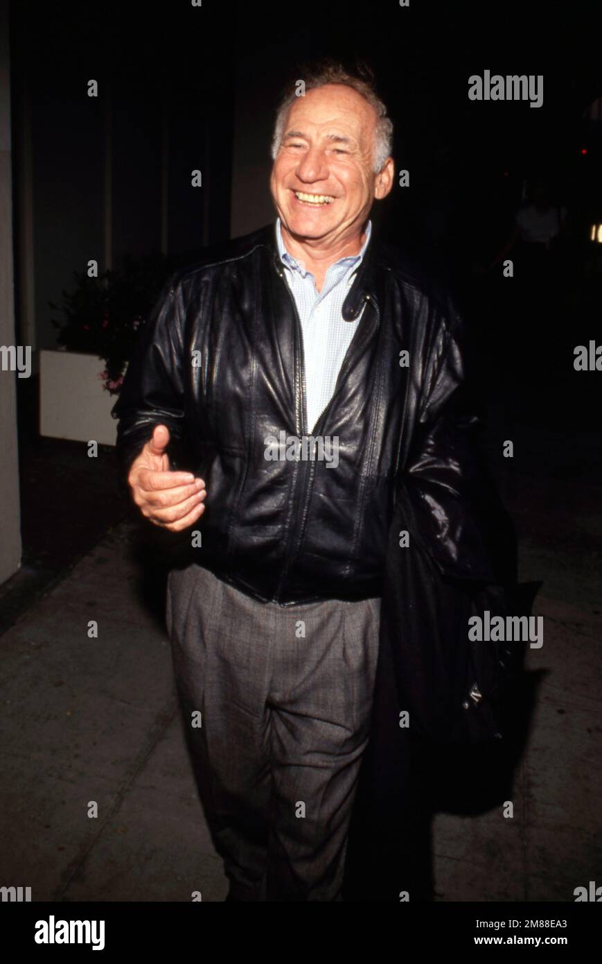 T. Graham Brown 1991 Credit: Ralph Dominguez/MediaPunch Stock Photo - Alamy
