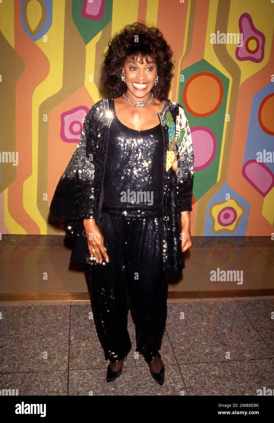 Chelsea Brown at the NBC Winter TCA Press Tour & the "Rowan & Martin's ...