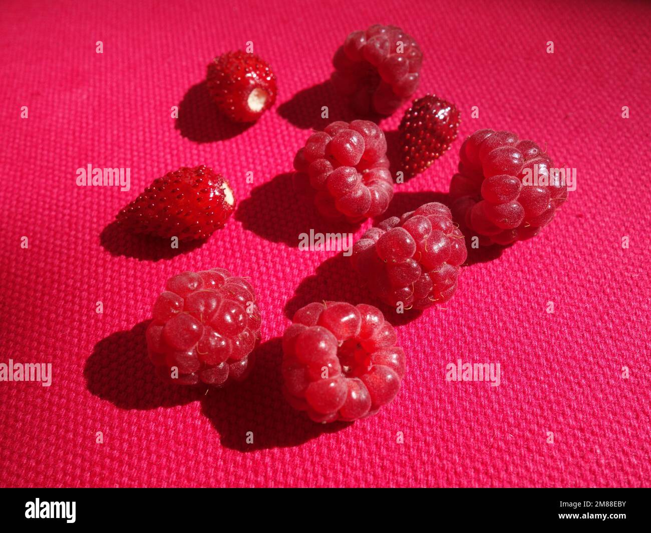 Raspberries and woodland strawberries scattered on magenta cotton cloth ...