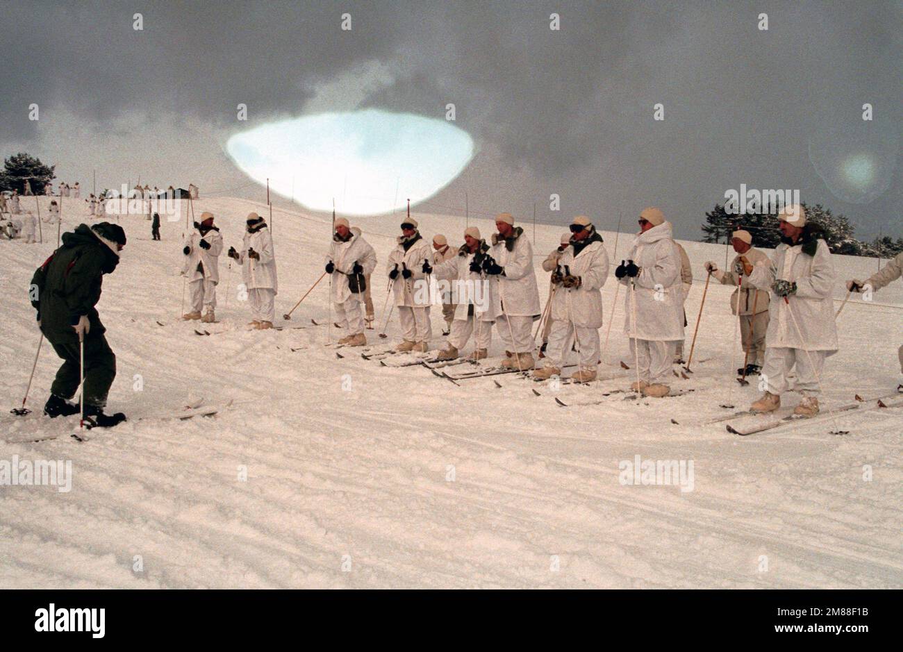 Members of the 3rd Battalion, 22nd Infantry, 25th Infantry Division ...