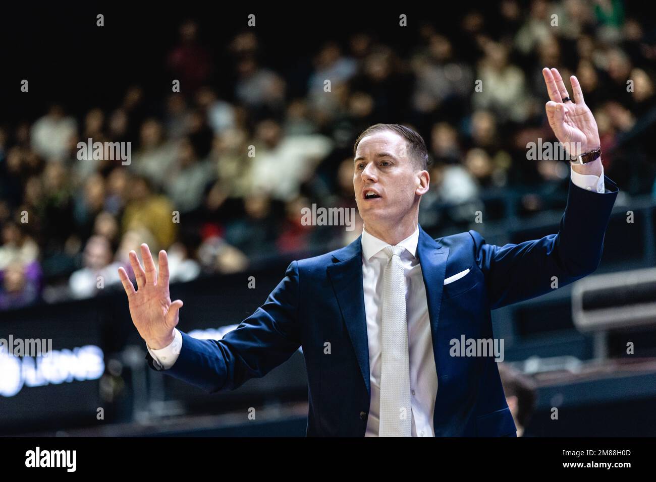 London Lions lose to Hapoel vegan friendly tel Aviv in a group B ...