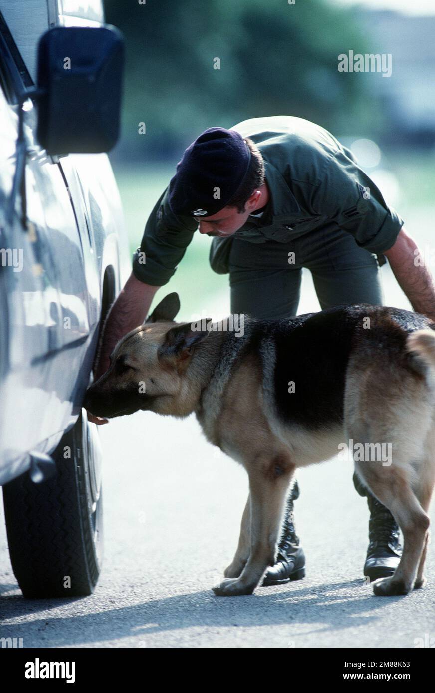 A patrol dog and its handler search a vehicle for drugs or explosives ...
