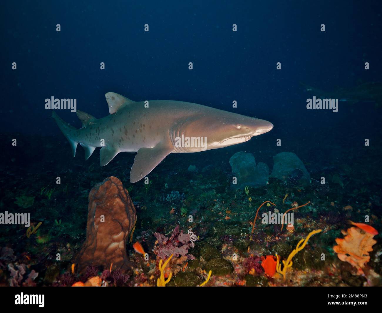 South africa margate hi-res stock photography and images - Alamy