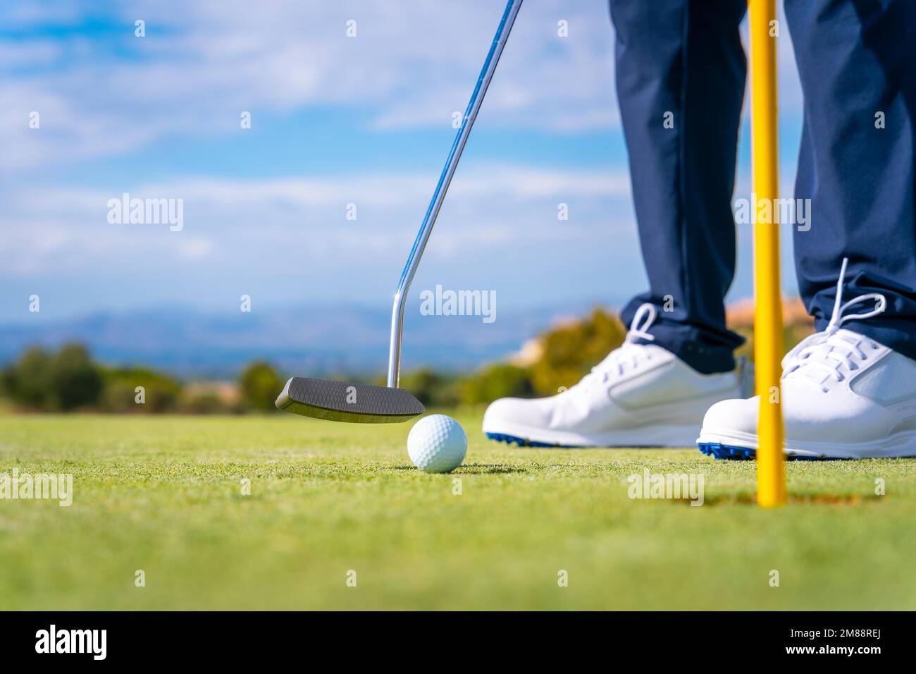 Putting the ball into the hole on the green with the putter. man ...