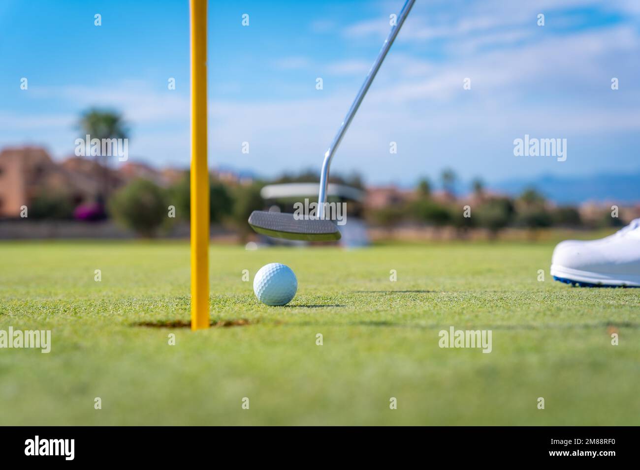 Man playing golf, putting the ball into the hole on the green with the ...